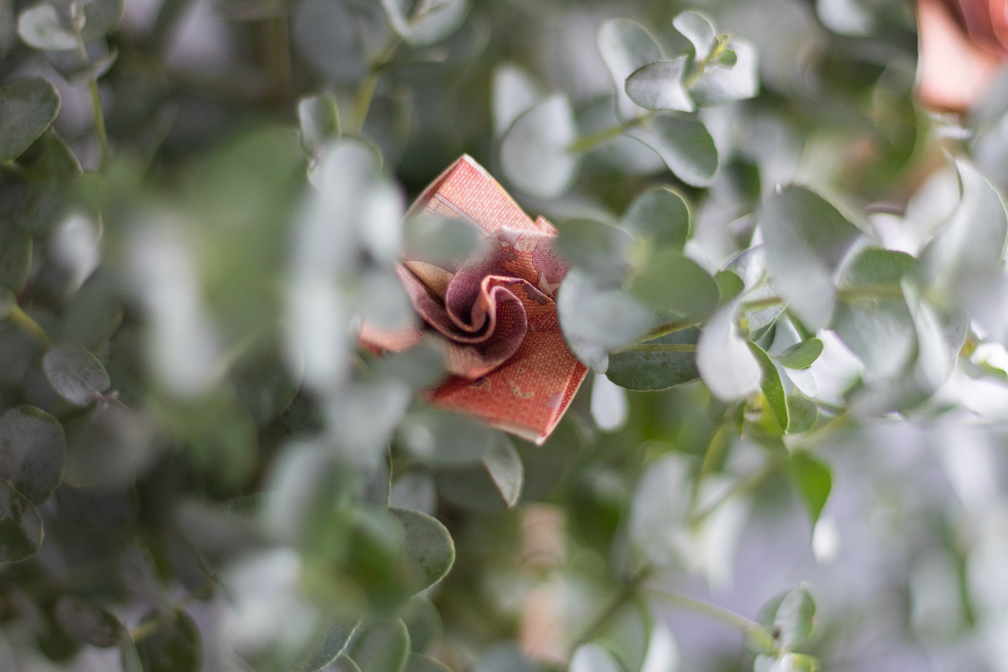 Geldgeschenk zur Hochzeit – Faltanleitung für Geldblumen im Eukalyptus