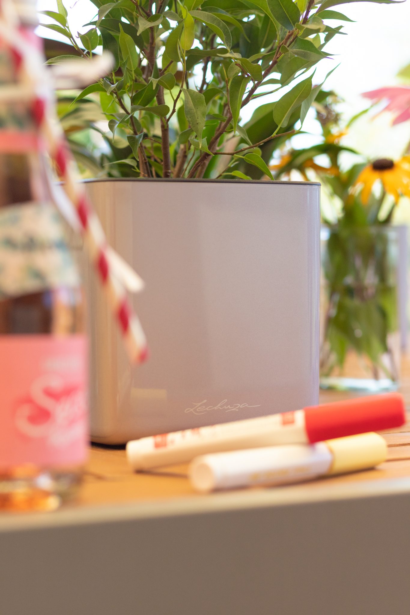 DIY-Junggesellinnenabschied mit Pflanzen - Lady Bella - DIY Blog
