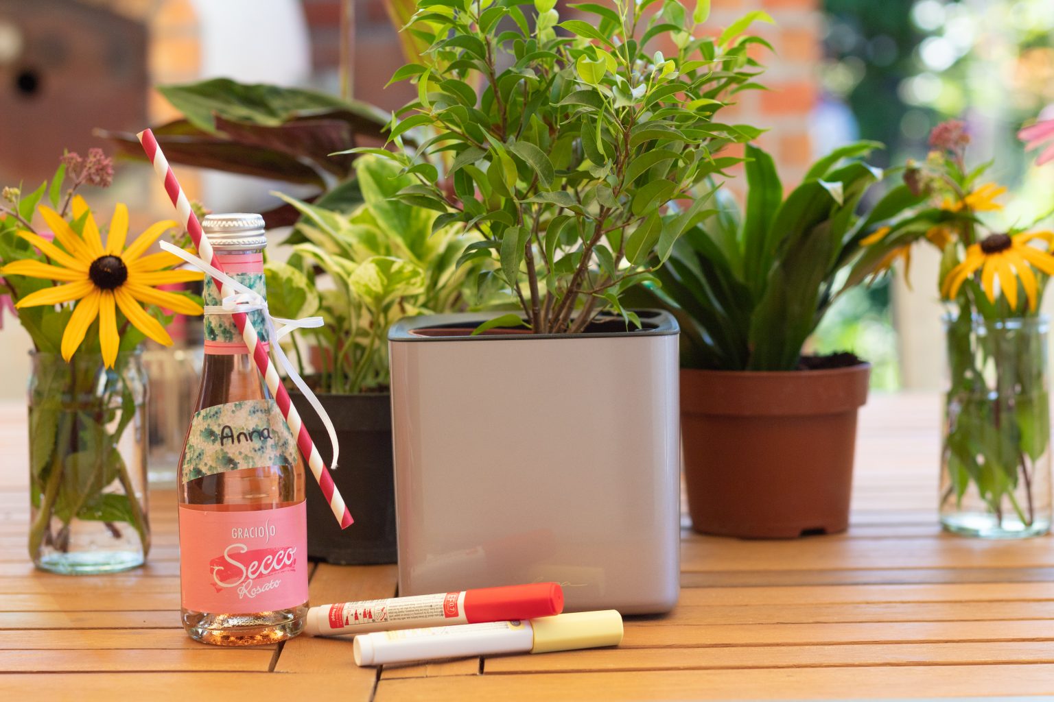 DIY-Junggesellinnenabschied mit Pflanzen - Lady Bella - DIY Blog