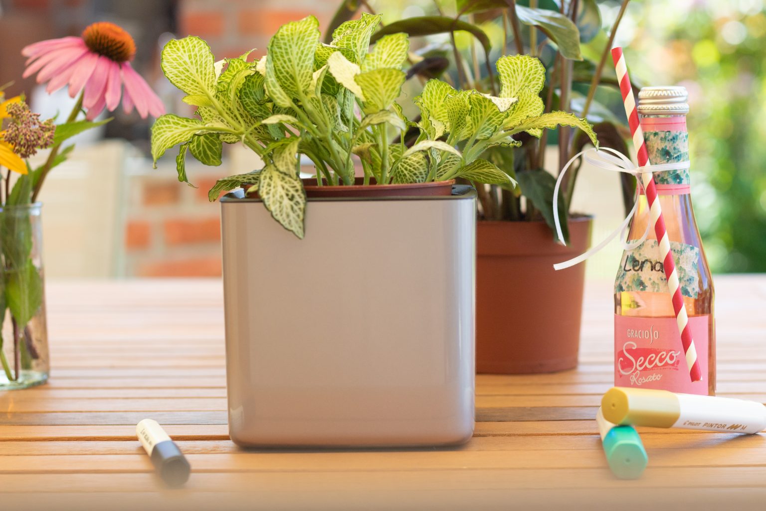 DIY-Junggesellinnenabschied mit Pflanzen - Lady Bella - DIY Blog